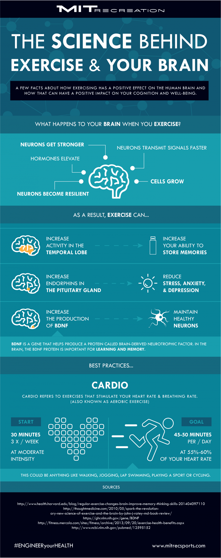 Exercise & Your Brain - MIT Recreation